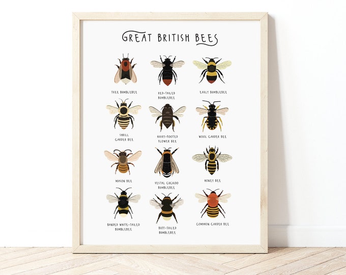 Bumblebee Species Art Print A4 Bee Poster - Etsy