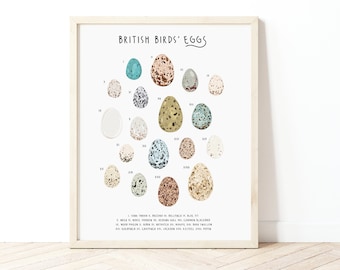 Bird Eggs Chart | Etsy