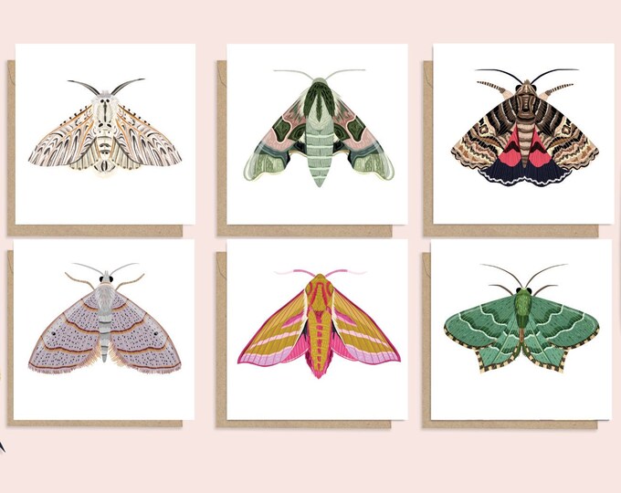 Set of 6 Moth Cards, Types of Moths Cards, Beautiful Moth Cards, Moth ...