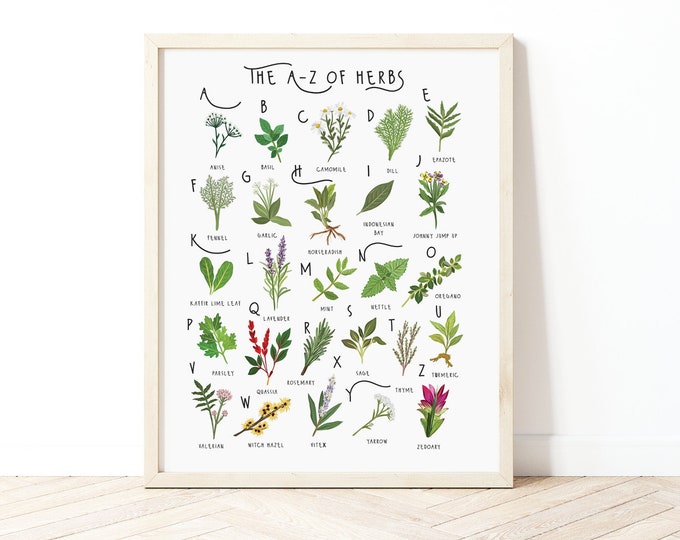 A-Z of Herbs Poster Kitchen Alphabet Herbs Poster - Etsy