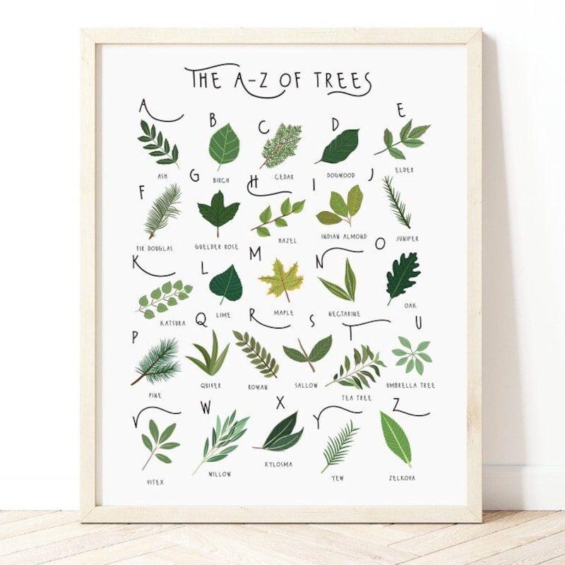 Tree Poster - Etsy