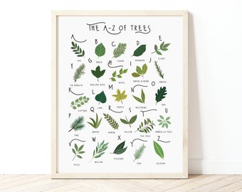 Types of Trees Poster - Etsy Canada