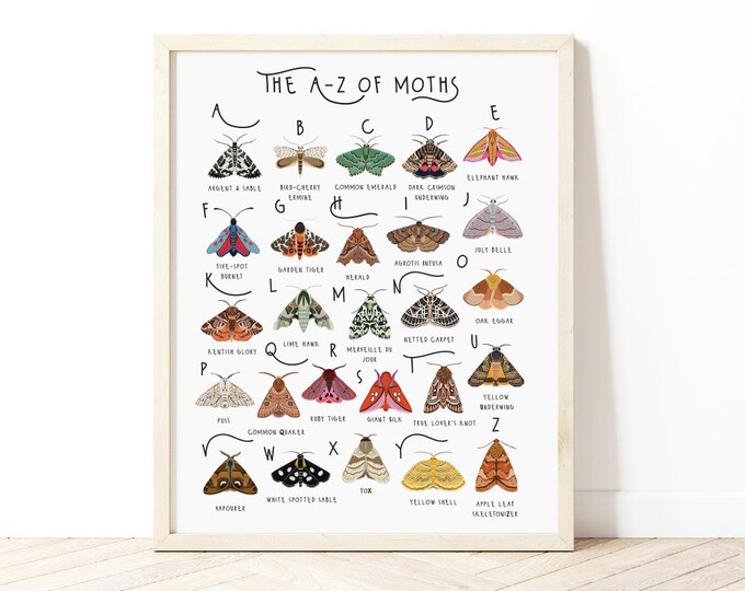 A-Z of Moths Alphabet Print Types of Moths Poster Beautiful - Etsy