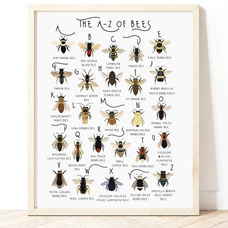 Bee Poster - Etsy
