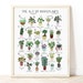 A-Z of Houseplants Plant Poster House Plants Print Alphabet - Etsy