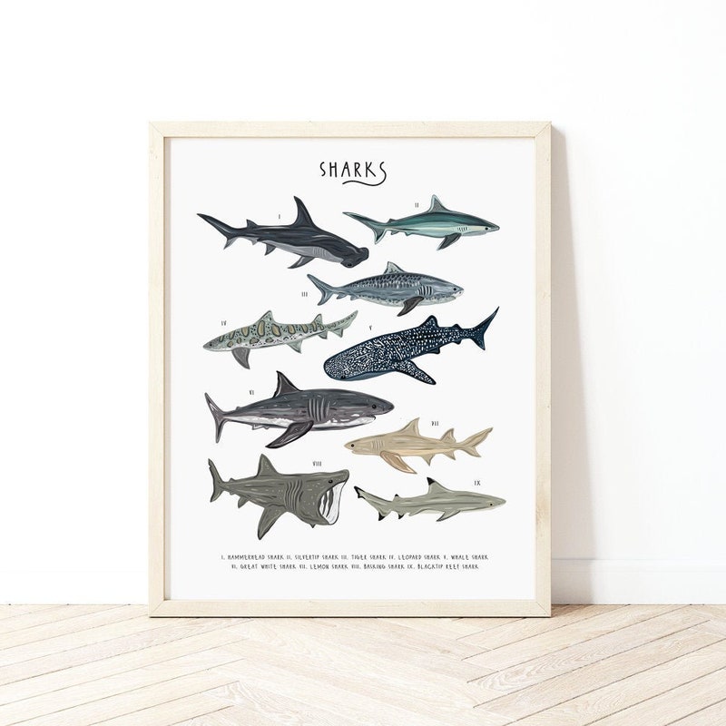 Shark Prints - Etsy