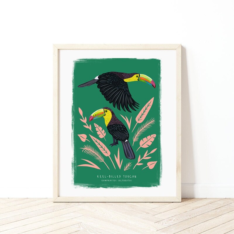 Toucan Poster - Etsy