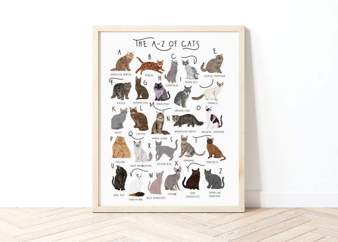 A-Z of Cats Poster, Cats Alphabet, Cat Poster Illustration, Pet Illustration, Cat Lovers Gift ...