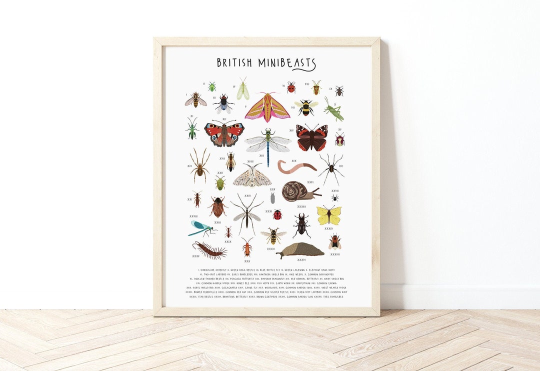British Minibeasts Print, Insects Poster, Nature Print, British Nature ...