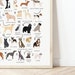 A-Z of Dogs Poster Dogs Alphabet Dog Poster Illustration - Etsy