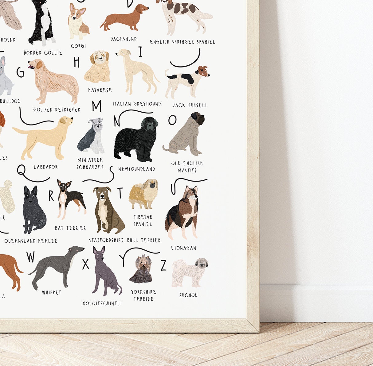 A-Z of Dogs Poster, Dogs Alphabet, Dog Poster Illustration, Pet ...