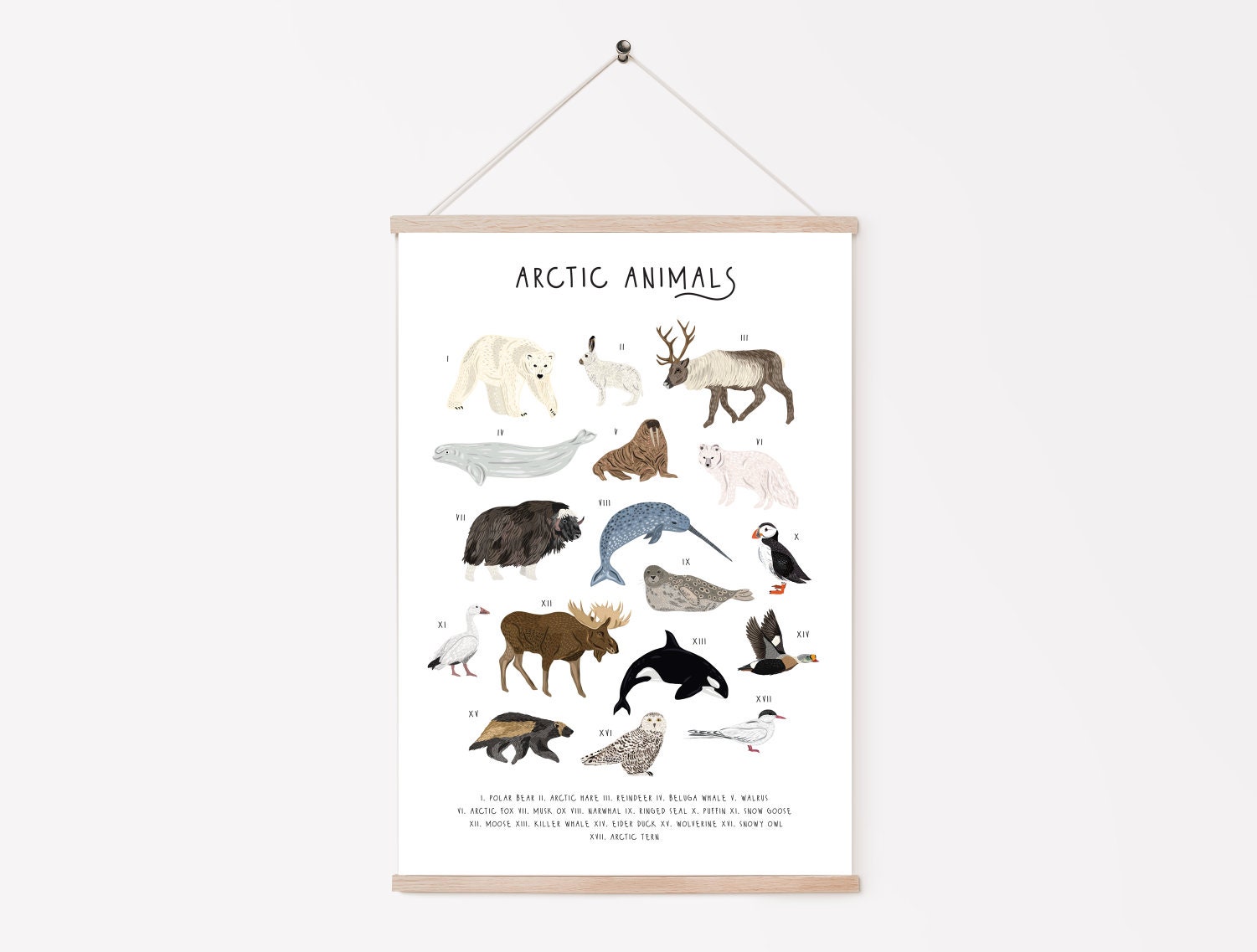 Arctic Animals Poster Nursery Wall Art Animal Poster Arctic | Etsy