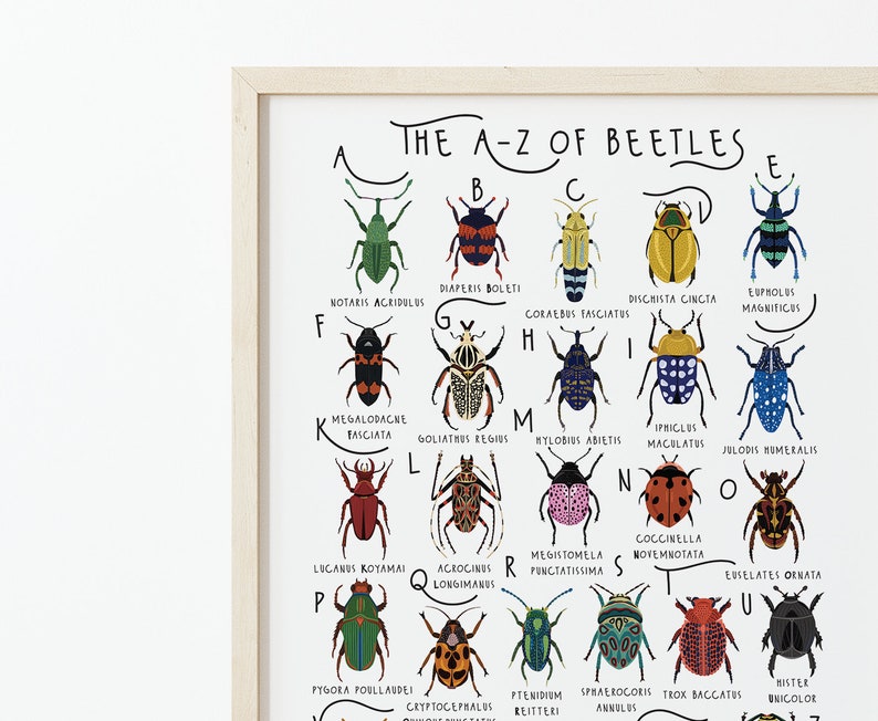 A-Z of Beetles Poster, Beetles Species Print, Beetles Poster, Bug Gift ...