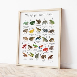 A-Z of Frogs & Toads Poster, Frogs Alphabet, Types of Frogs Print ...