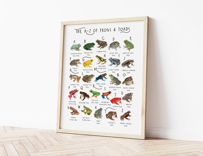 A-Z of Frogs & Toads Poster Frogs Alphabet Types of Frogs - Etsy UK