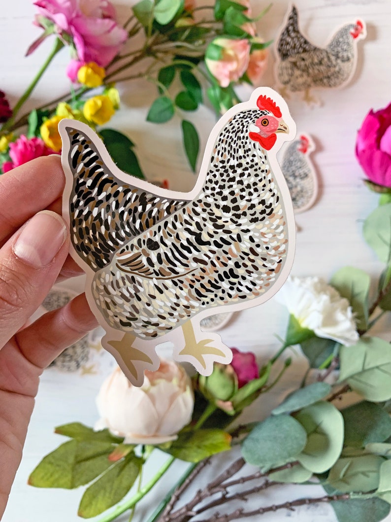 Large Chicken Vinyl Sticker Chicken Sticker Chicken Gift - Etsy Denmark