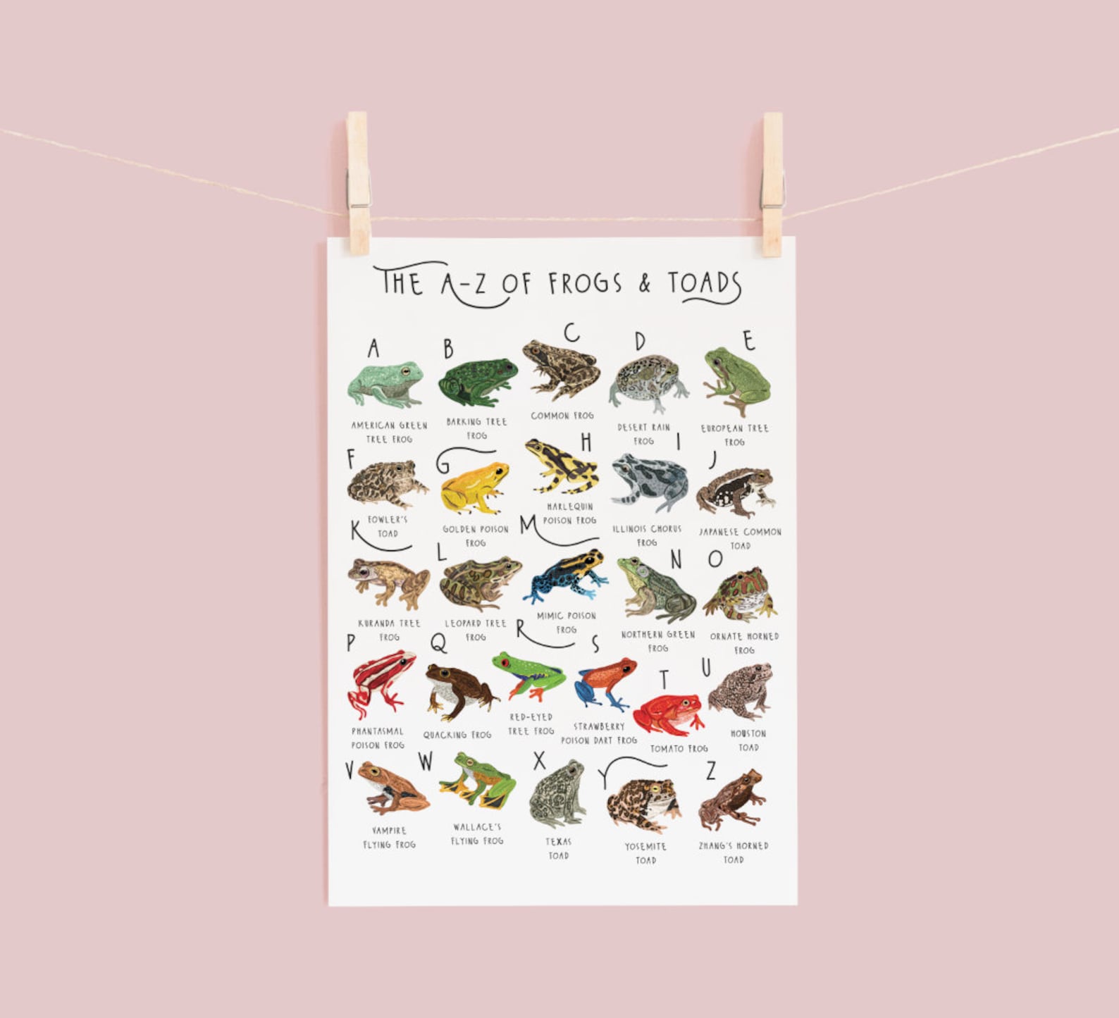 A-Z of Frogs & Toads Poster Frogs Alphabet Types of Frogs - Etsy UK