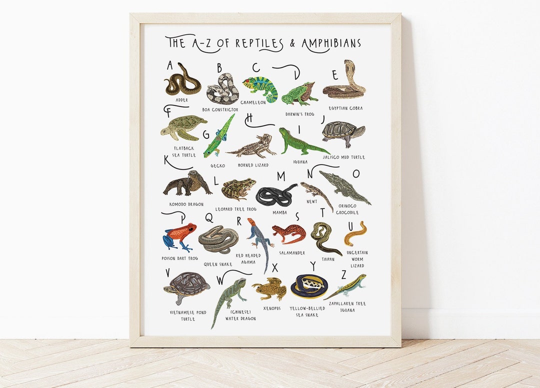 A-Z of Reptiles & Amphibians Poster, Alphabet Print, Reptiles and ...