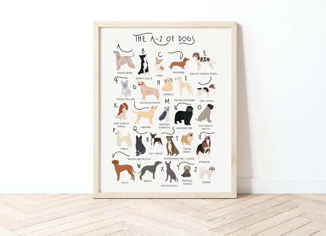 A-Z of Dogs Poster, Dogs Alphabet, Dog Poster Illustration, Pet ...