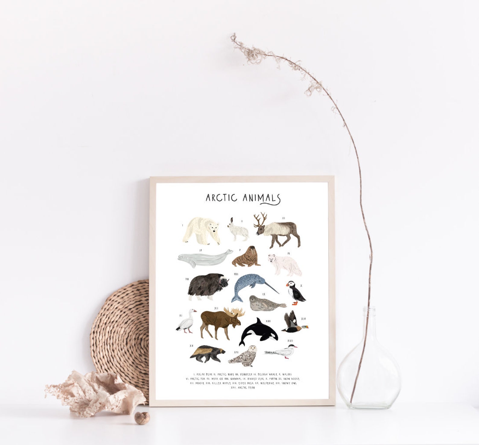 Arctic Animals Poster Nursery Wall Art Animal Poster Arctic - Etsy