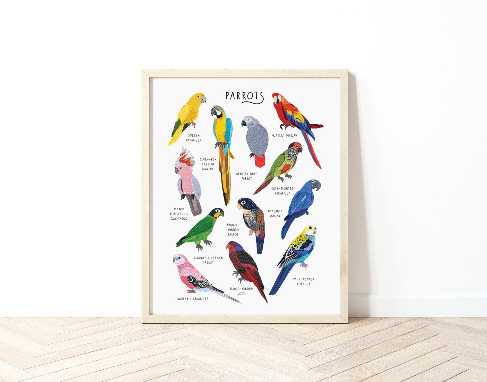 Parrots Poster Tropical Bird Print Parrot Illustration - Etsy