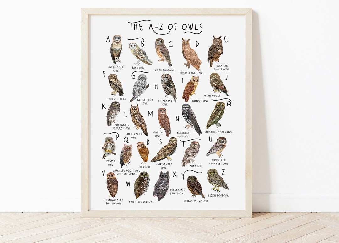 A-Z of Owls Poster, Owls Alphabet, Types of Owls Poster Illustration ...