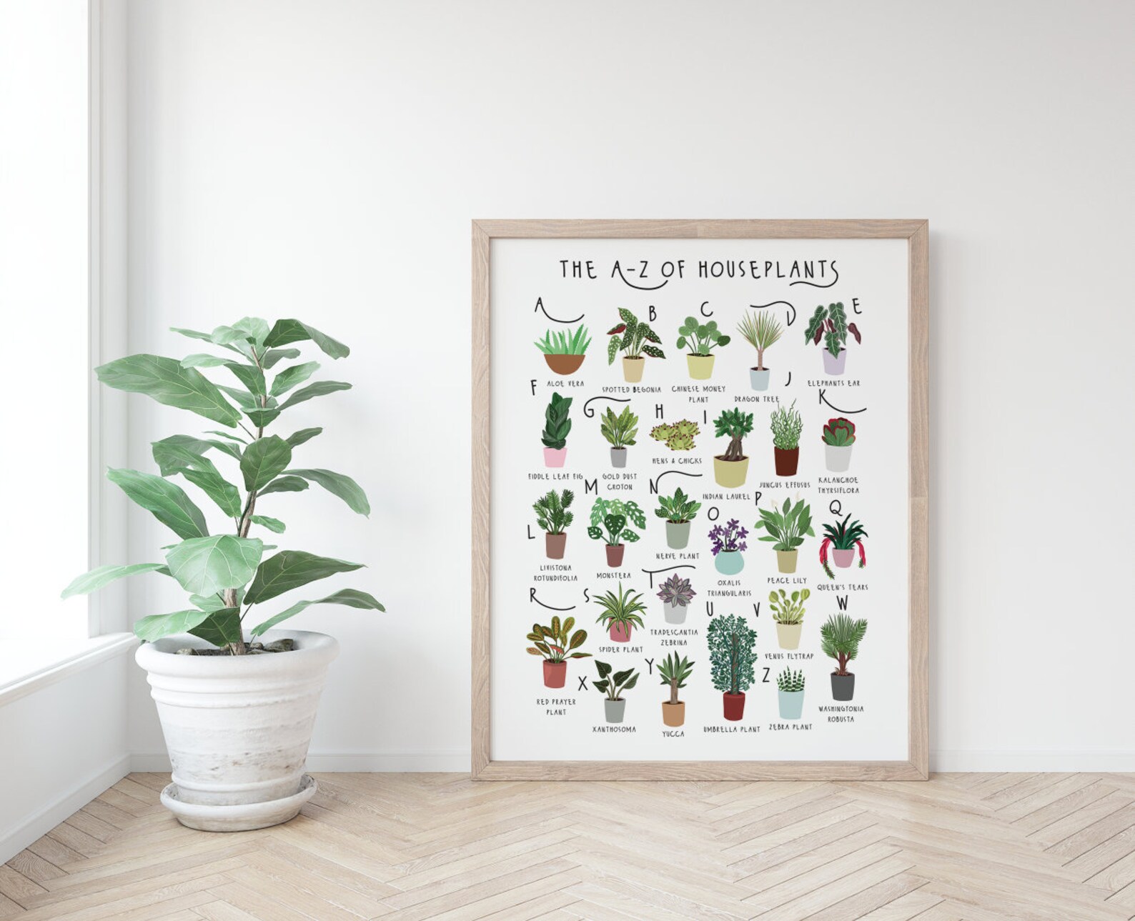 A-Z of Houseplants Plant Poster House Plants Print Alphabet - Etsy