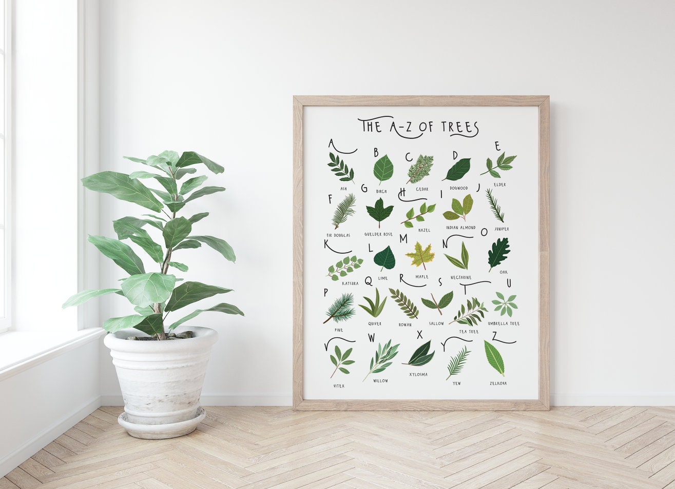 A-Z Of Trees, Alphabet Print, Tree Identification Poster, British Flora ...