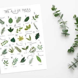 A-Z of Trees, Alphabet Print, Tree Identification Poster, British Flora ...