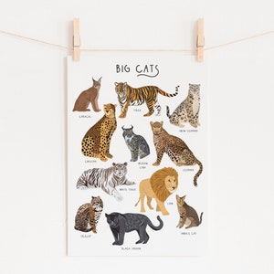 Big Cats Poster, Jungle Cats, Jungle Print, Wild Cats Print, Big Cats ...