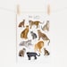 Big Cats Poster Jungle Cats Jungle Print Wild Cats Print - Etsy