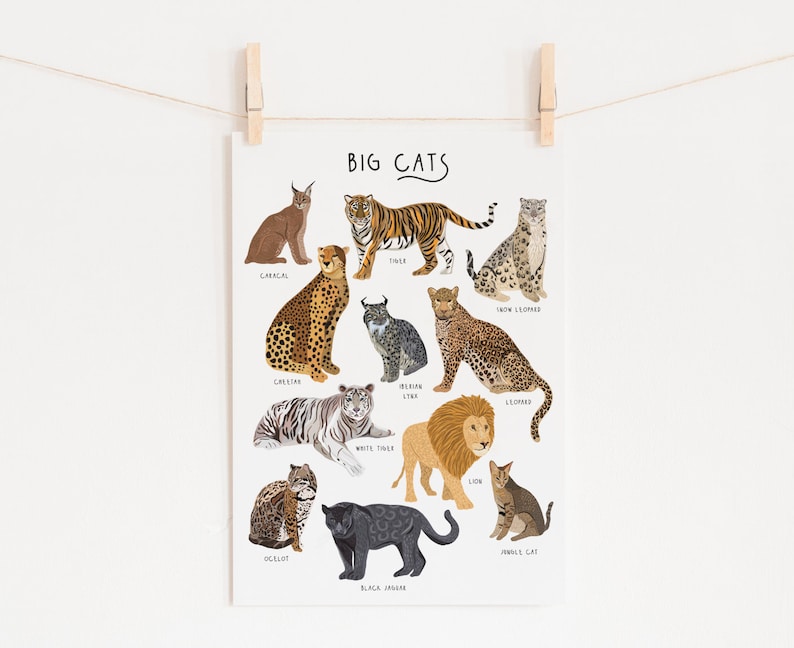Big Cats Poster Jungle Cats Jungle Print Wild Cats Print - Etsy
