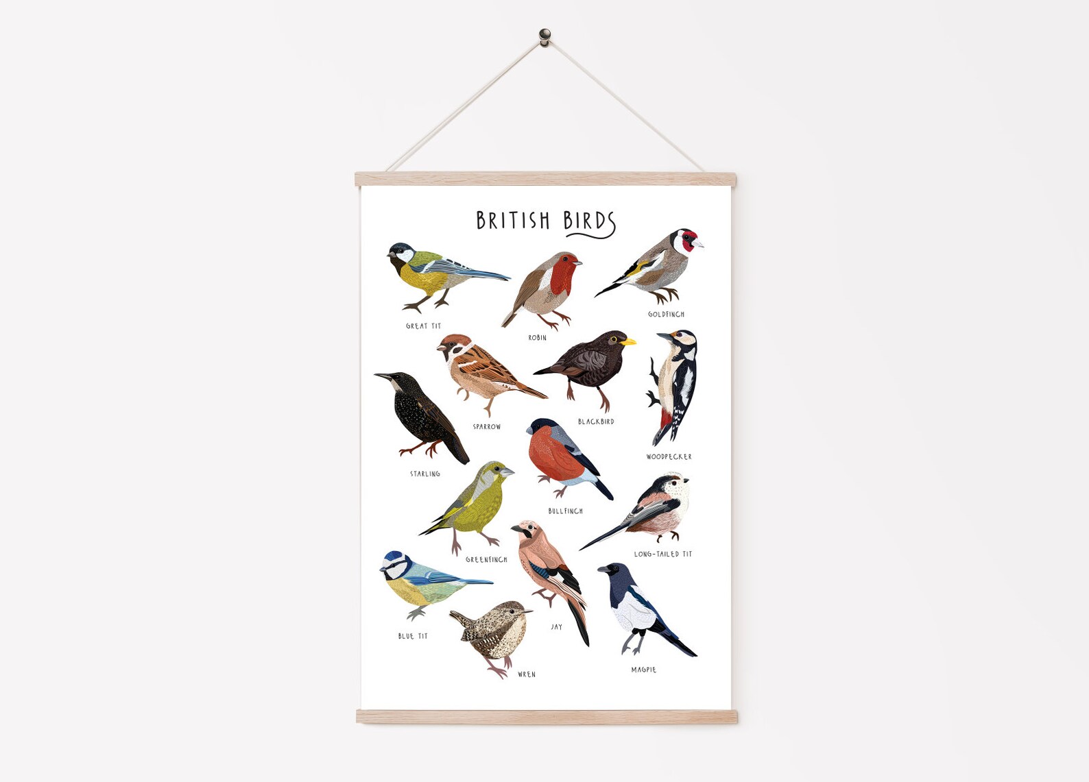 British Birds Poster, Bird Identification Print, Natural History Poster ...