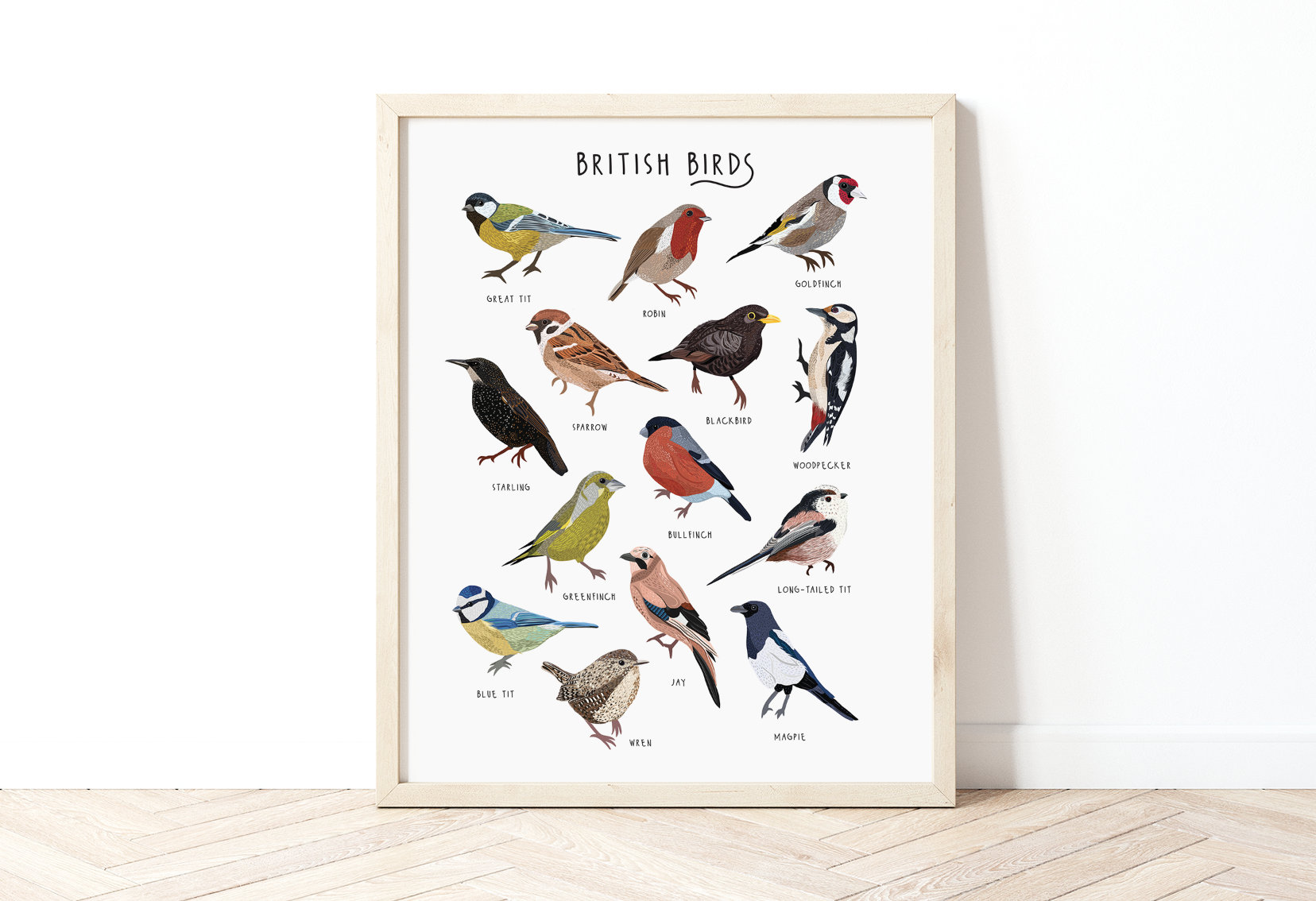British Birds Poster, Bird Identification Print, Natural History Poster ...