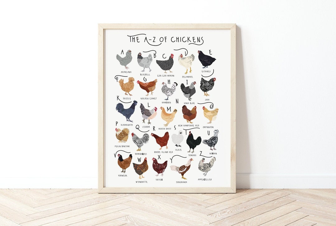 A-Z of Chickens Poster, Chicken Print, Chicken Breeds Art, Alphabet ...