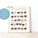 A-Z of Butterflies Poster, Types of Butterflies, Butterflies Poster ...