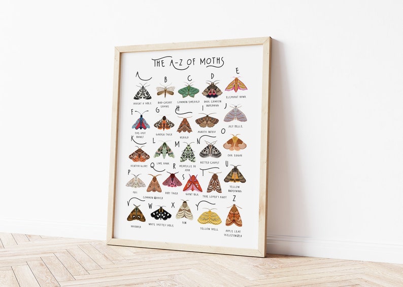 A-Z of Moths, Alphabet Print, Types of Moths Poster, Beautiful Moths ...