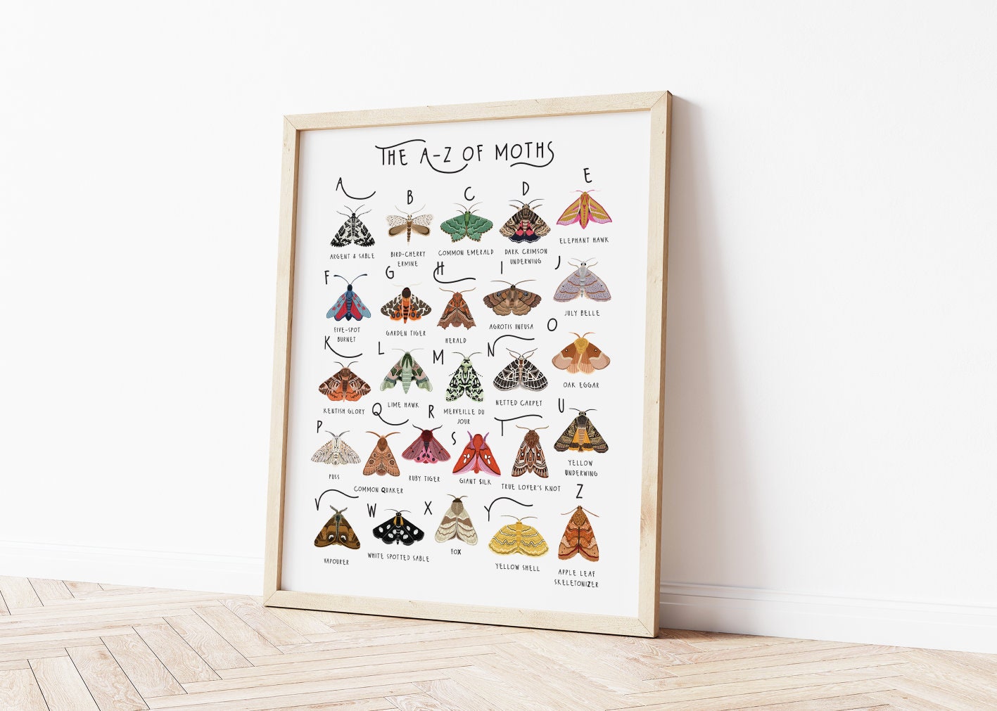 A-Z of Moths, Alphabet Print, Types of Moths Poster, Beautiful Moths ...