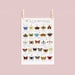 A-Z of Butterflies Poster, Types of Butterflies, Butterflies Poster ...