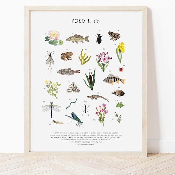 Pond Life Art - Etsy