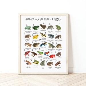 A-Z of Frogs & Toads Poster, Frogs Alphabet, Types of Frogs Print ...