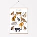 Big Cats Poster Jungle Cats Jungle Print Wild Cats Print - Etsy