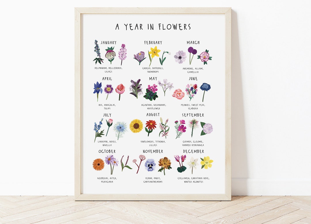 A Year in Flowers Poster, Seasonal Flowers Print, Gardeners Poster ...