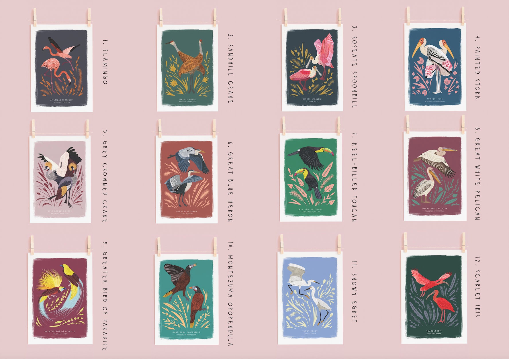 Any 3 Bird Posters Mix and Match Print Deal Bird - Etsy UK