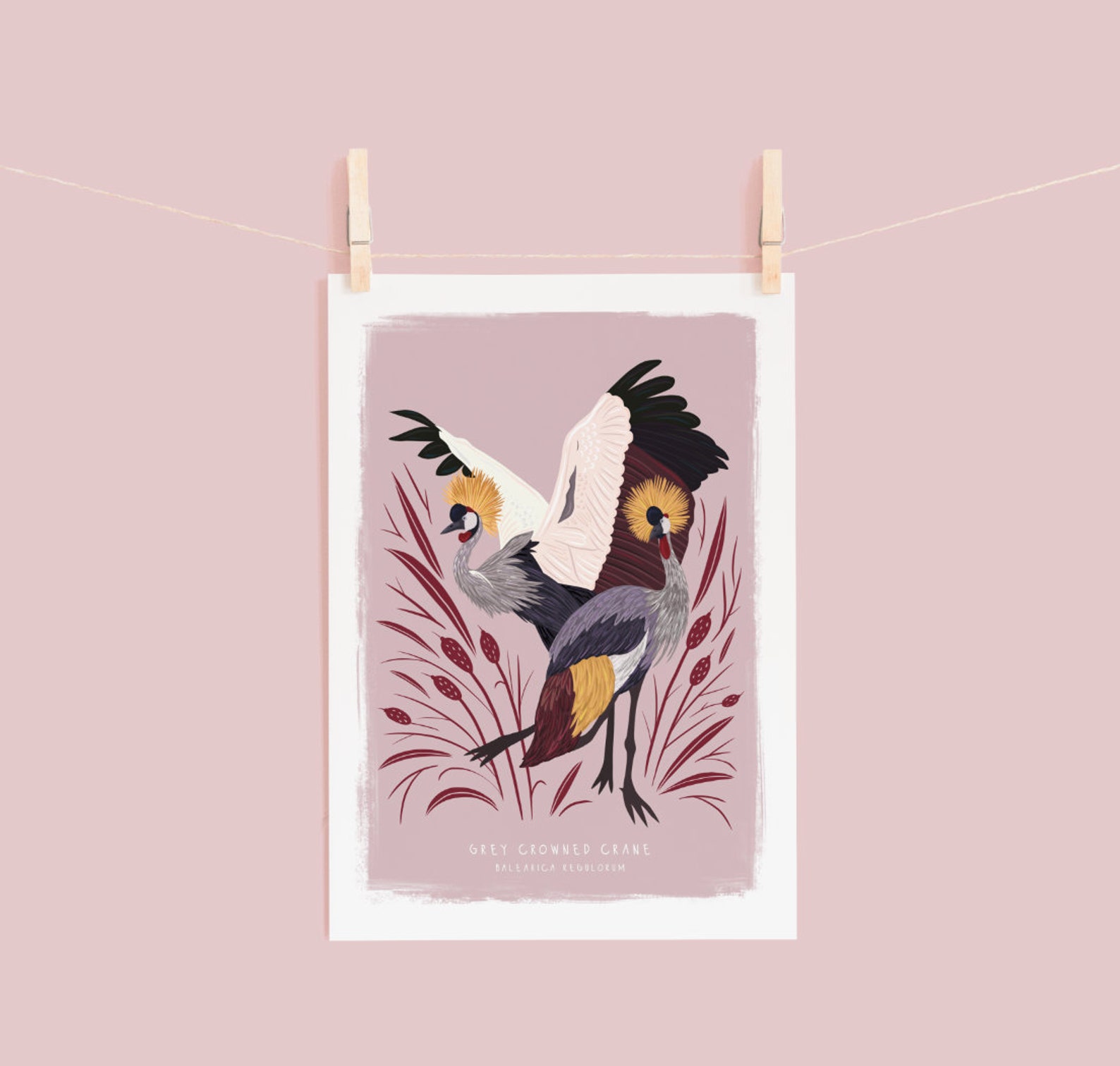Any 3 Bird Posters Mix and Match Print Deal Bird - Etsy UK