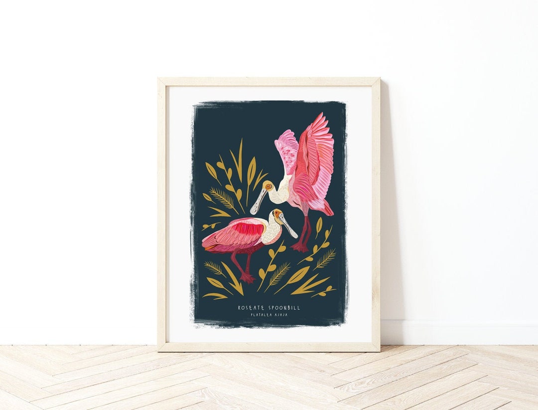 Spoonbill Poster, Roseate Spoonbill Print, Natural History Poster, Bird ...