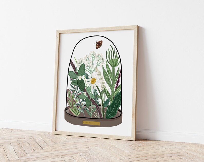 Plants Bell Jar Illustration British Hedgerow Print Brambles - Etsy UK