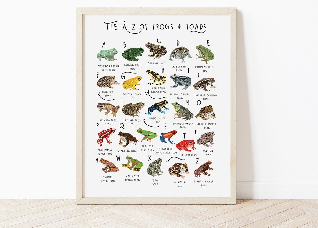 A-Z of Frogs & Toads Poster, Frogs Alphabet, Types of Frogs Print ...