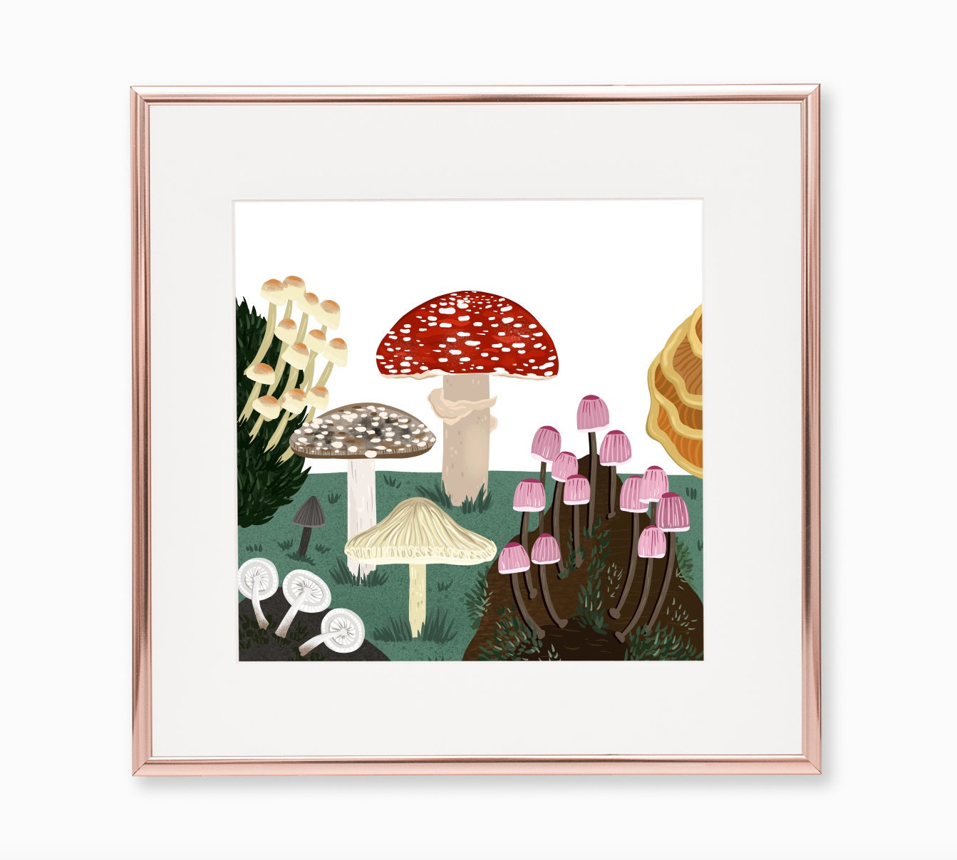 Fungi Print Woodland Mushroom Print Mushrooms Botanical | Etsy UK