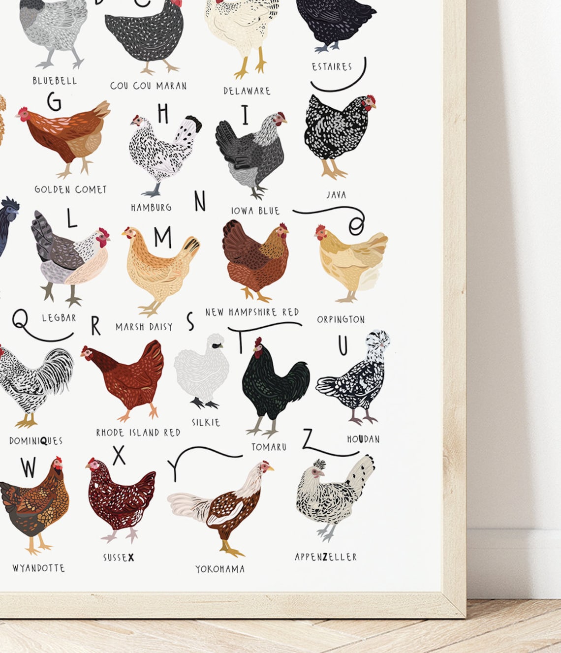 A-Z von Hühnern Poster, Huhn Druck, Hühnerrassen, Alphabet Poster, Huhn ...